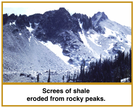 Sawtooth Kidhood 1957: Switchbacks #1 | Deans Great Wahoo