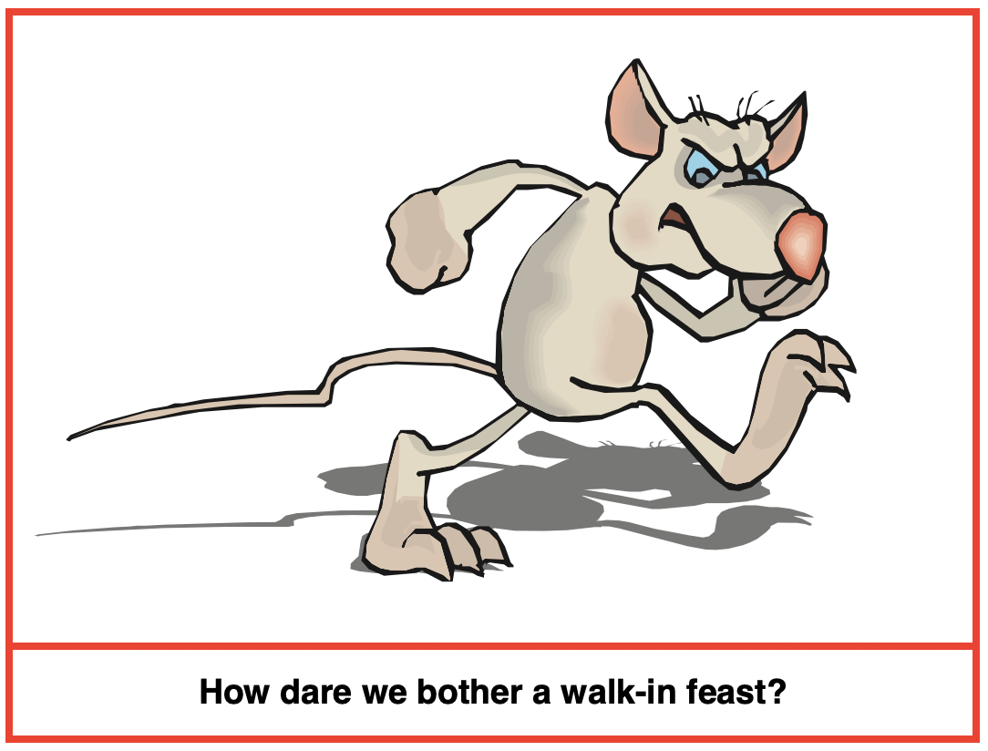 Buck Brook #27 – Running Rat | Deans Great Wahoo